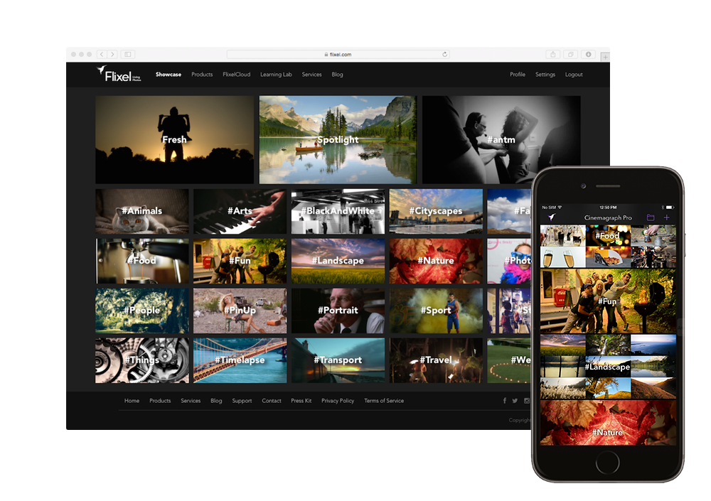 Flixel Names Top 10 Cinemagraphs of 2014